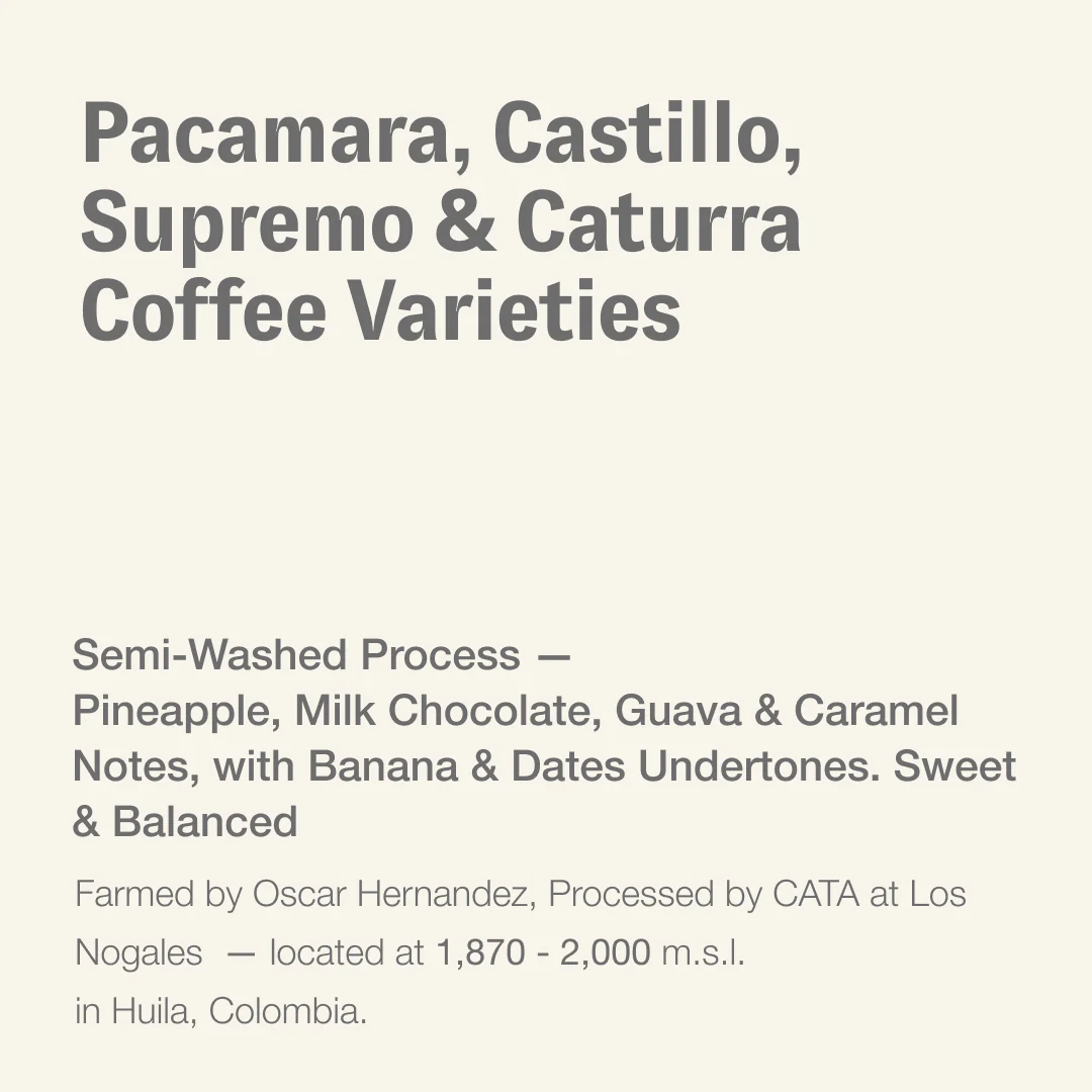 Pacamara Castillo Supremo and Caturra Coffee Varieties - specialty ...
