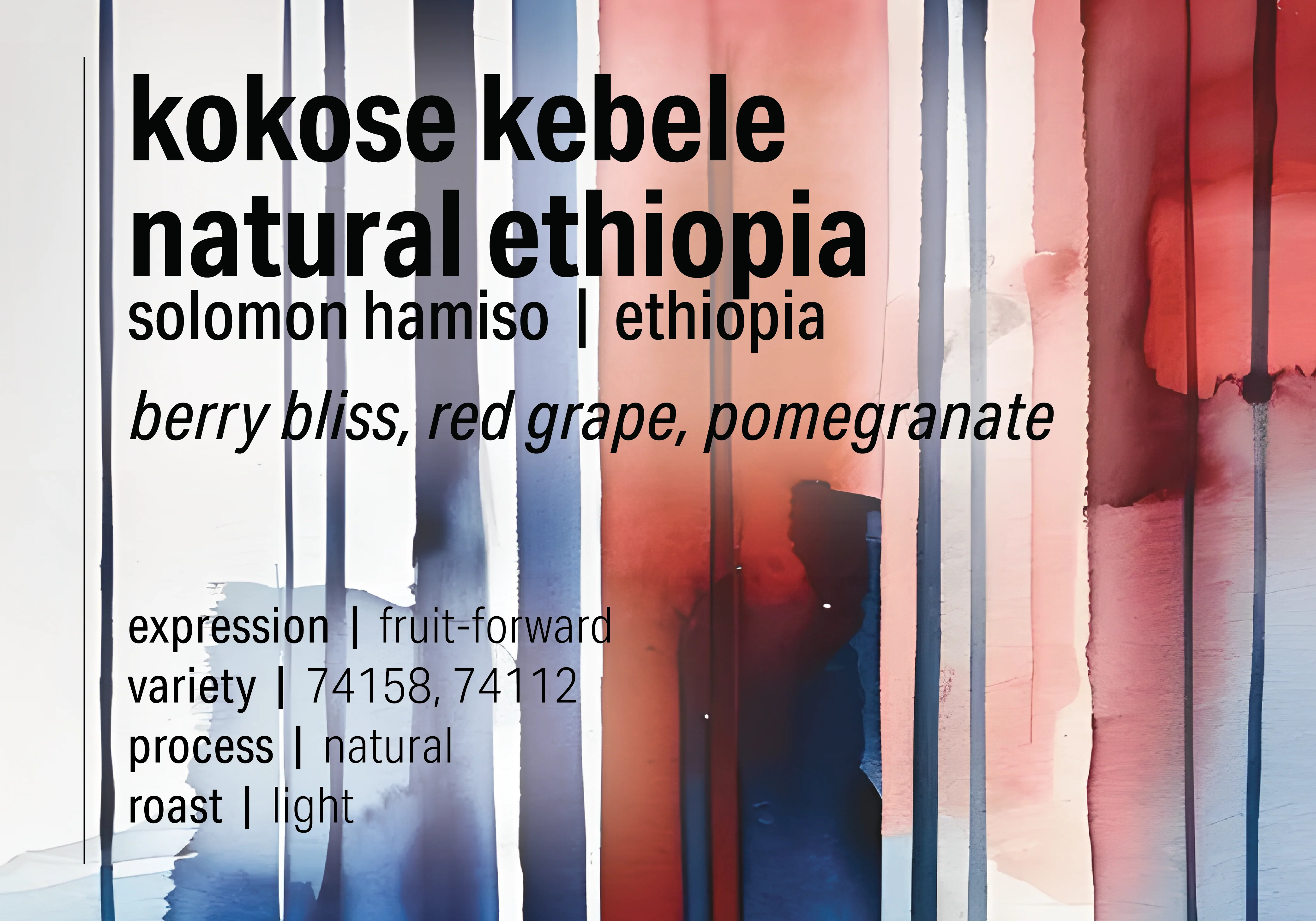 Kokose Kebele - Natural Ethiopia - Ethiopia - Specialty Coffee Beans ...