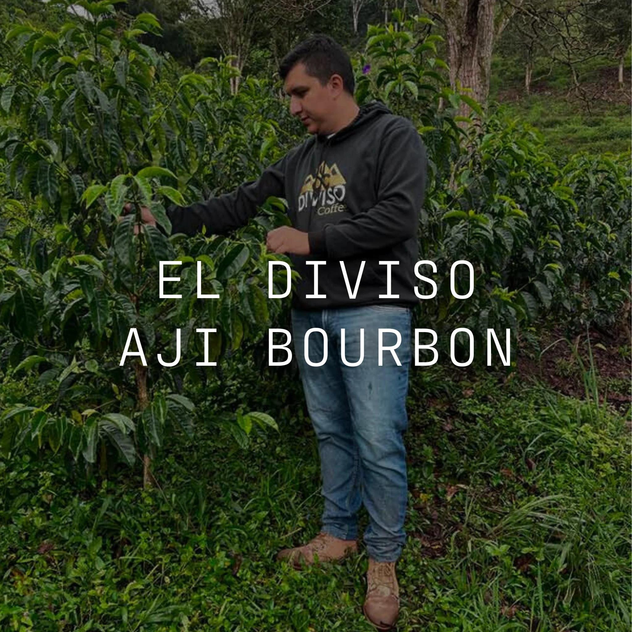 El Diviso - Aji Bourbon - Thermal Shock Washed Colombia - specialty ...