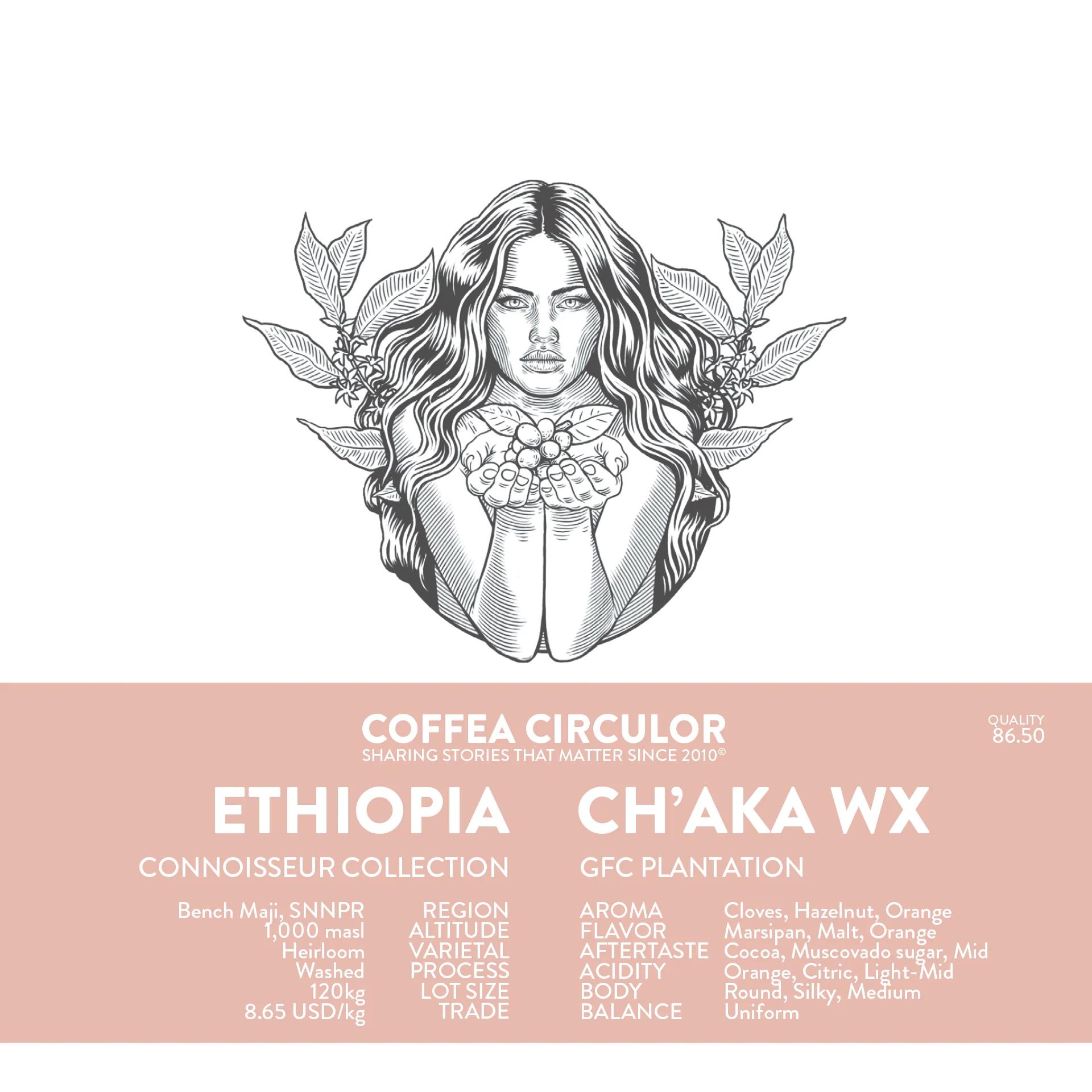 Ethiopia Chaka Washed WX Espresso - Specialty Coffee Beans | TheBeanGeek