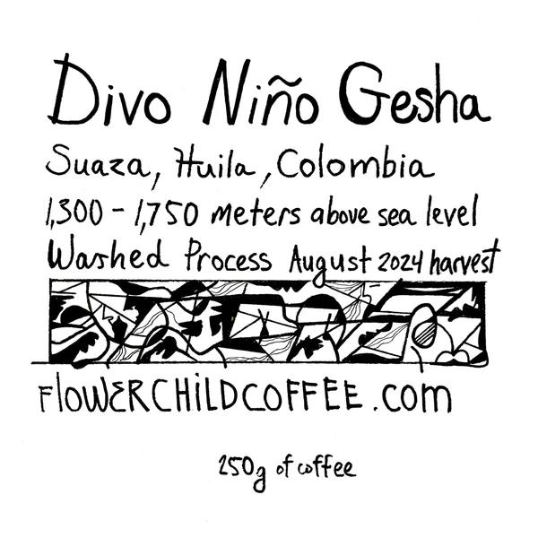 Wilder Lazo Natural Geisha Colombia - Specialty Coffee Beans | TheBeanGeek
