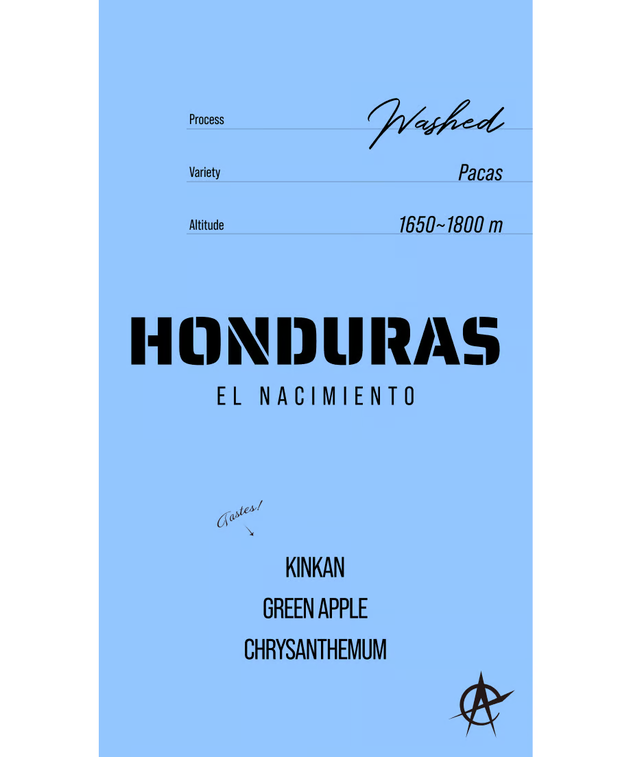 Honduras El Nacimiento, Pacas - Washed - specialty coffee beans ...