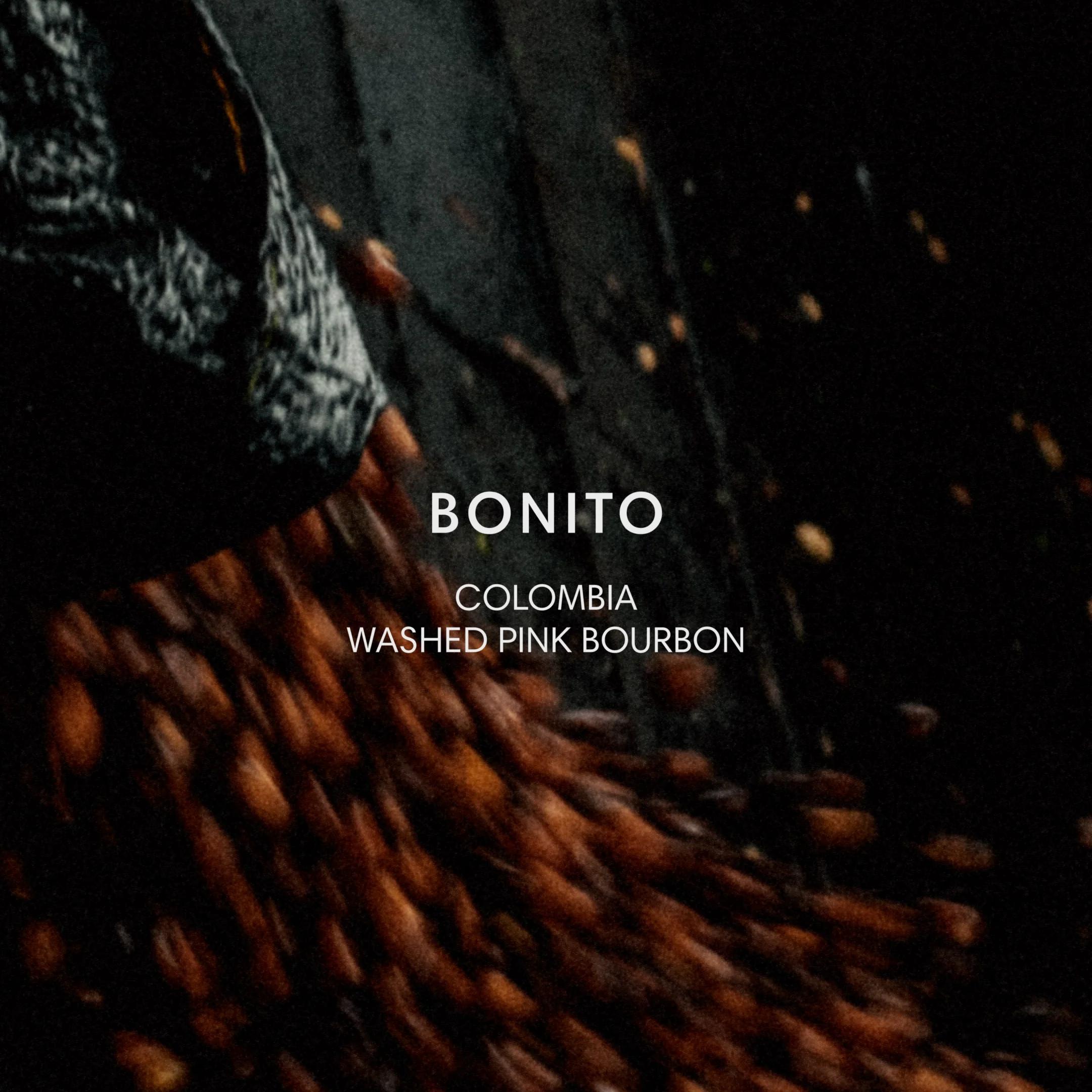 Bonito - Specialty Coffee Beans | TheBeanGeek