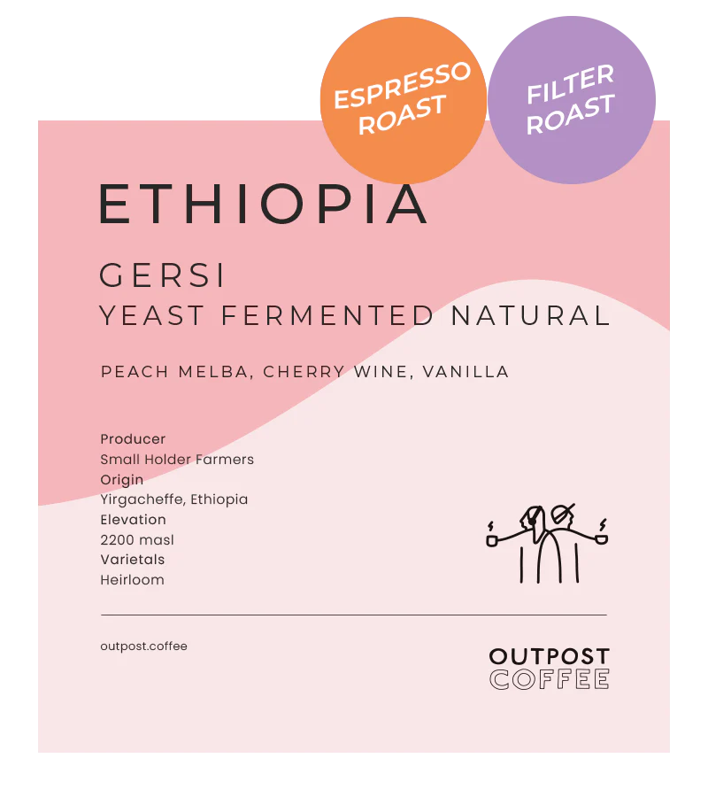 Gersi Yeast Fermented Natural Ethiopia - Specialty Coffee Beans ...