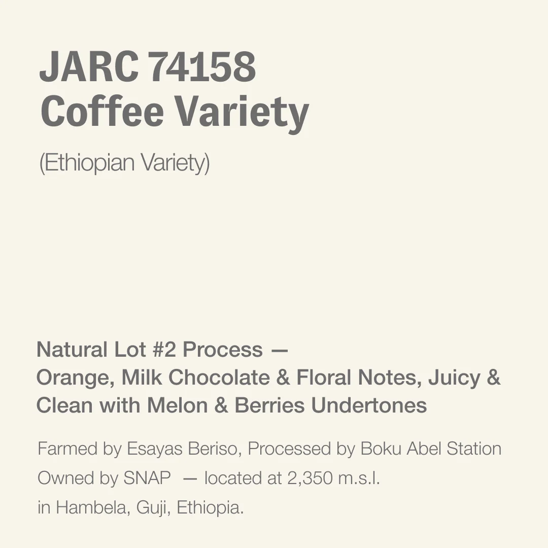 JARC 74158 Coffee Variety - Specialty Coffee Beans | TheBeanGeek