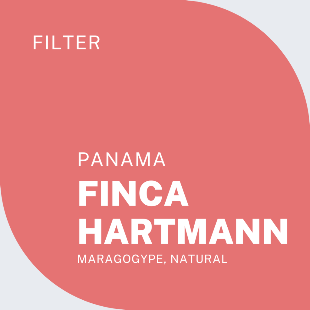 Hartmann Lavado Cafe De Panama - specialty coffee beans | TheBeanGeek