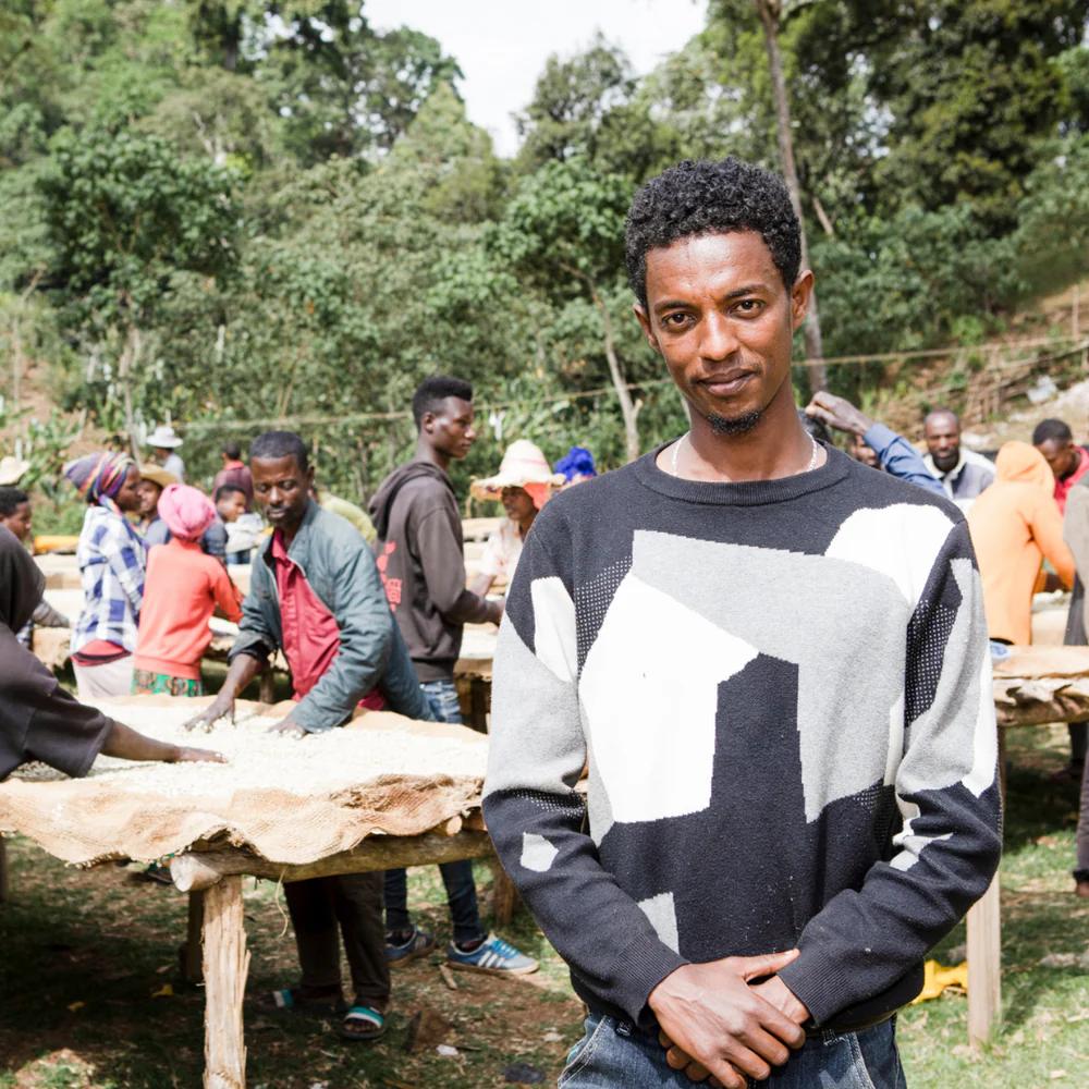 Ethiopia - Refisa - Extended Fermentation Washed - Specialty Coffee ...
