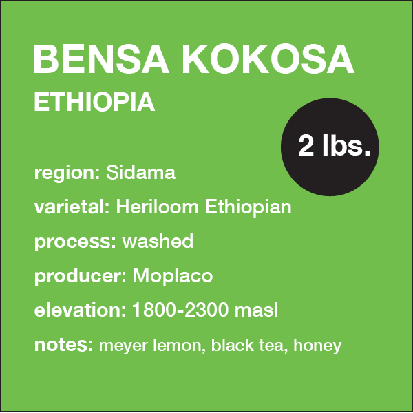 Ethiopia Bensa Kokosa - specialty coffee beans | TheBeanGeek