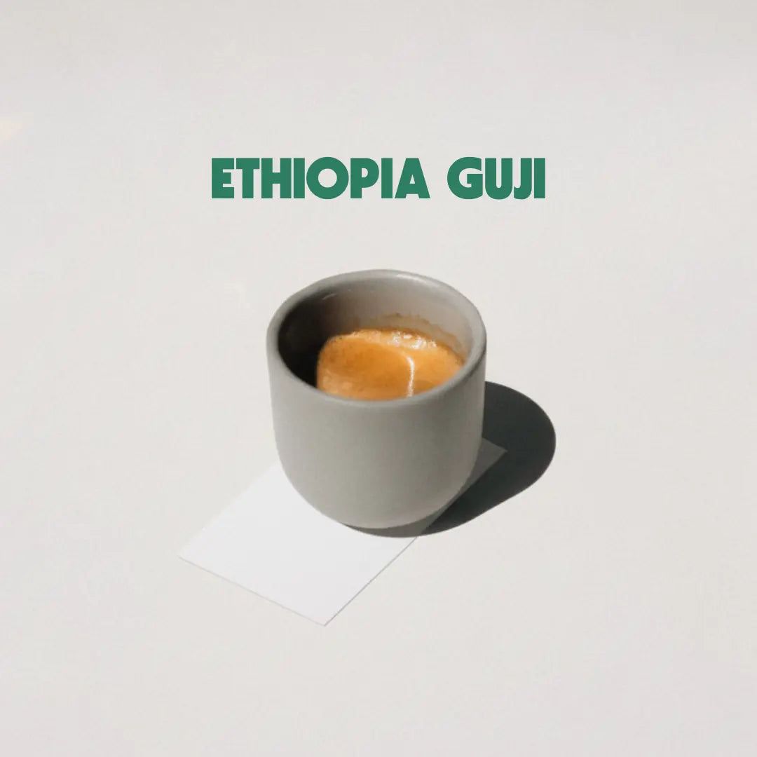Ethiopia Guji Light Roast - Specialty Coffee Beans | TheBeanGeek