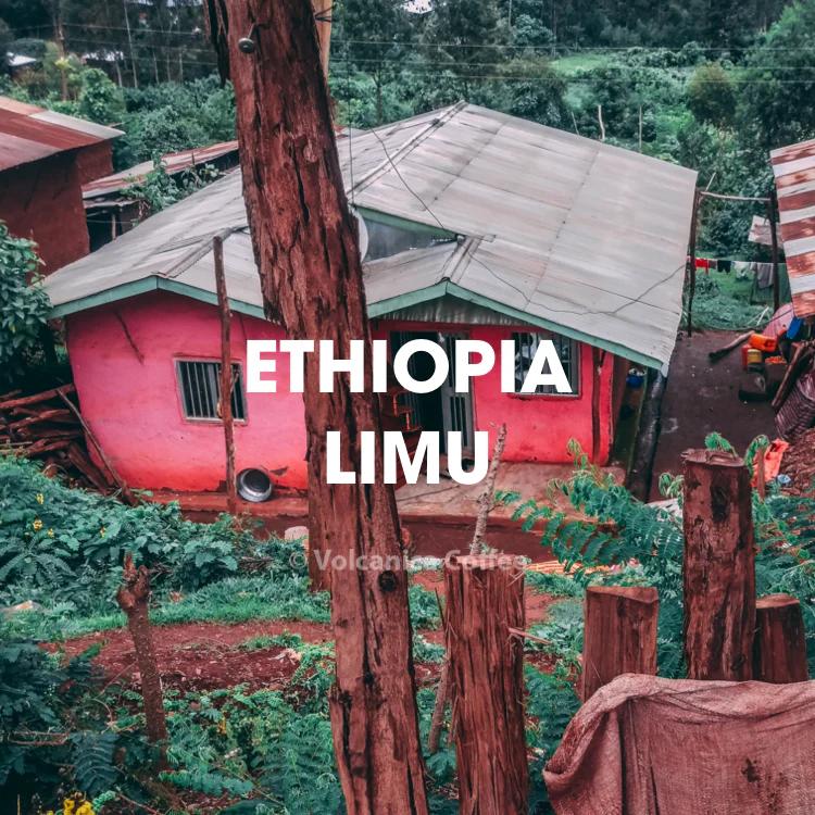 Ethiopian Limu Coffee - Specialty Coffee Beans | TheBeanGeek